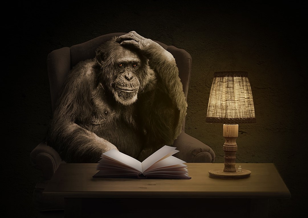 Склонность к подтверждению (Confirmation Bias) — RationalAnswer